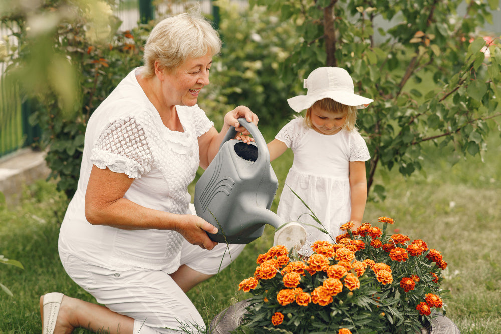 Practical Advice for Seniors To Enjoy the Spring Season Safely — Hold ...